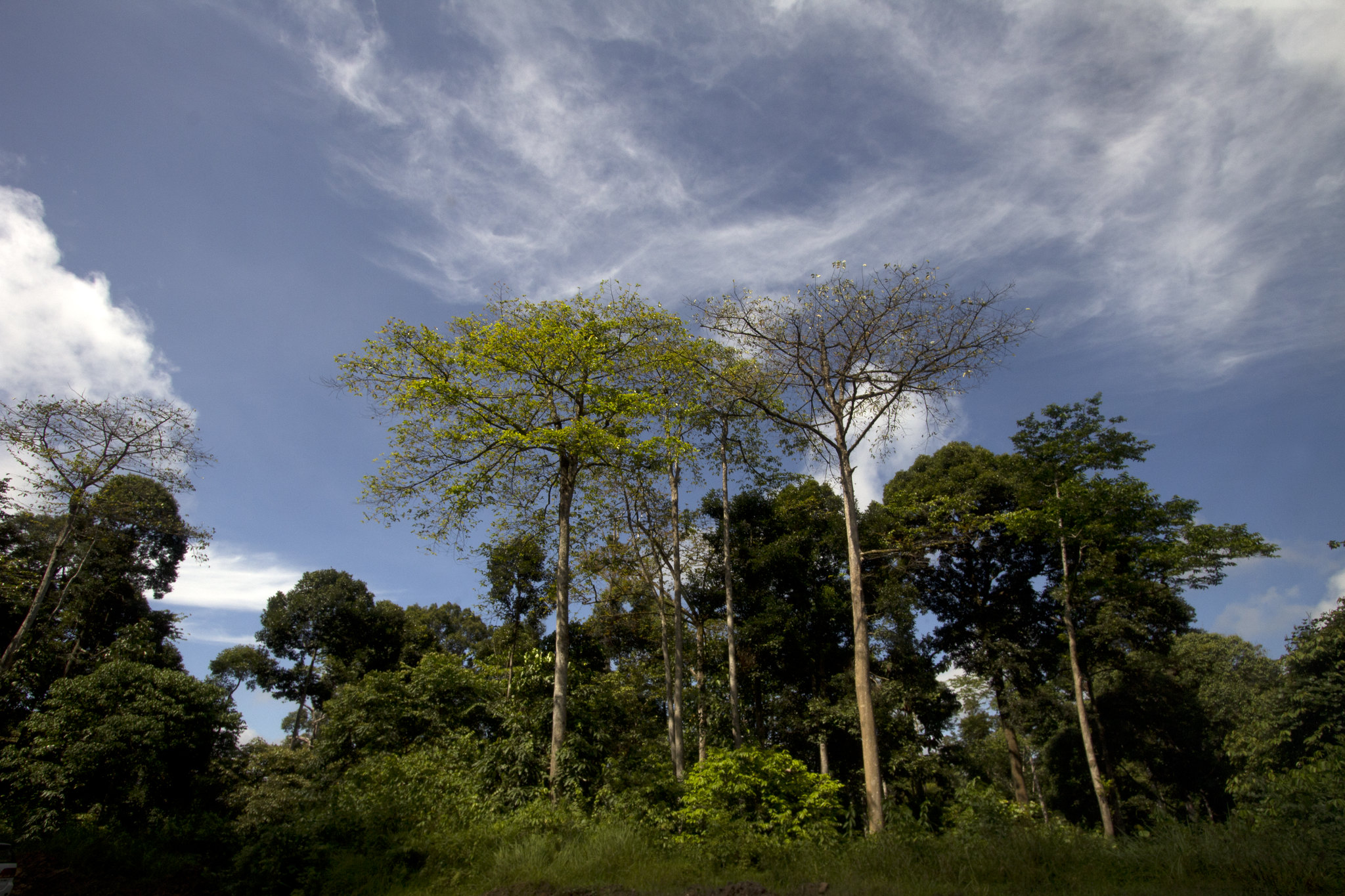 Landscape Monitoring Framework of the socio-economic dimension | ISEAL ...